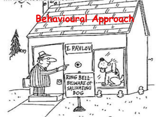 Behavioural Approach Pdf Science