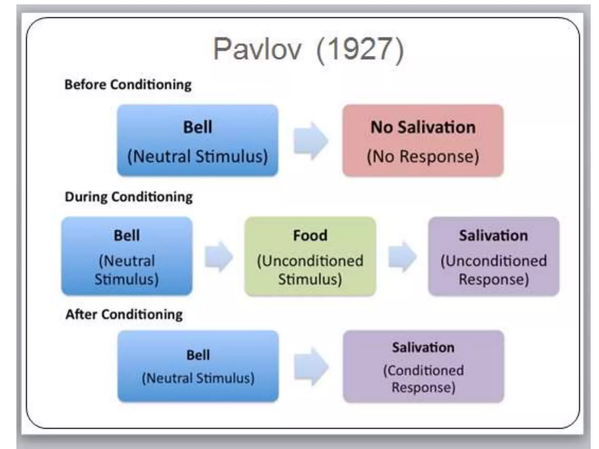 Behavioural approach to abnormality | PPTX | Physical Therapy | Wellness