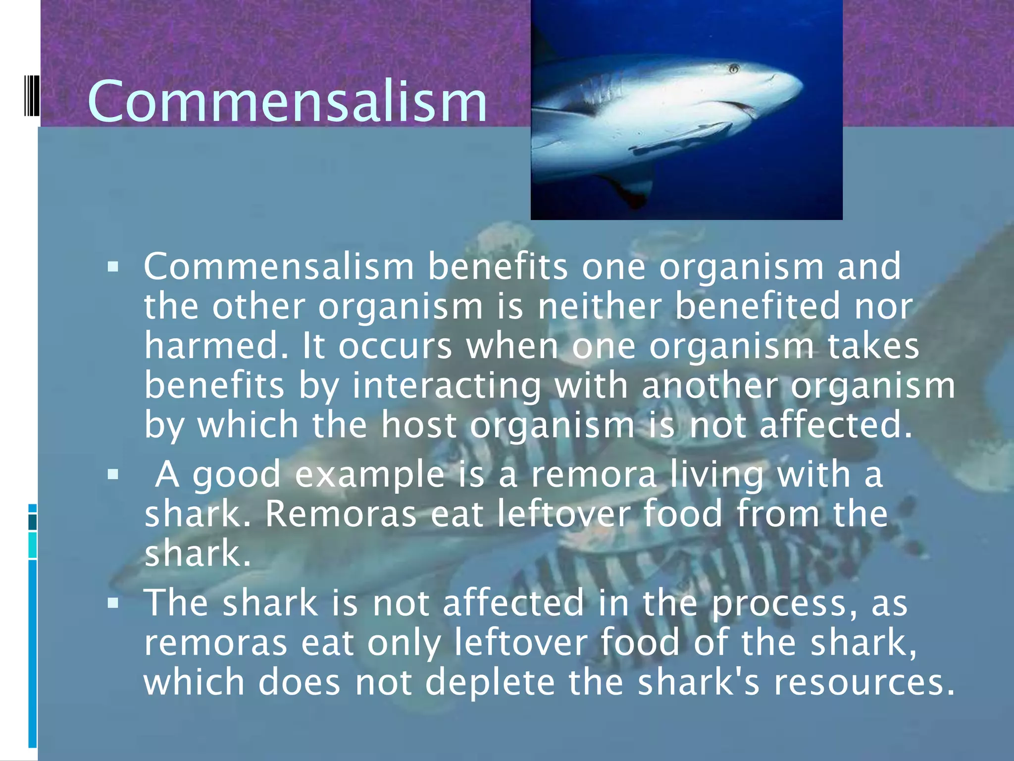 Behavioural ecology of fishes | PPTX