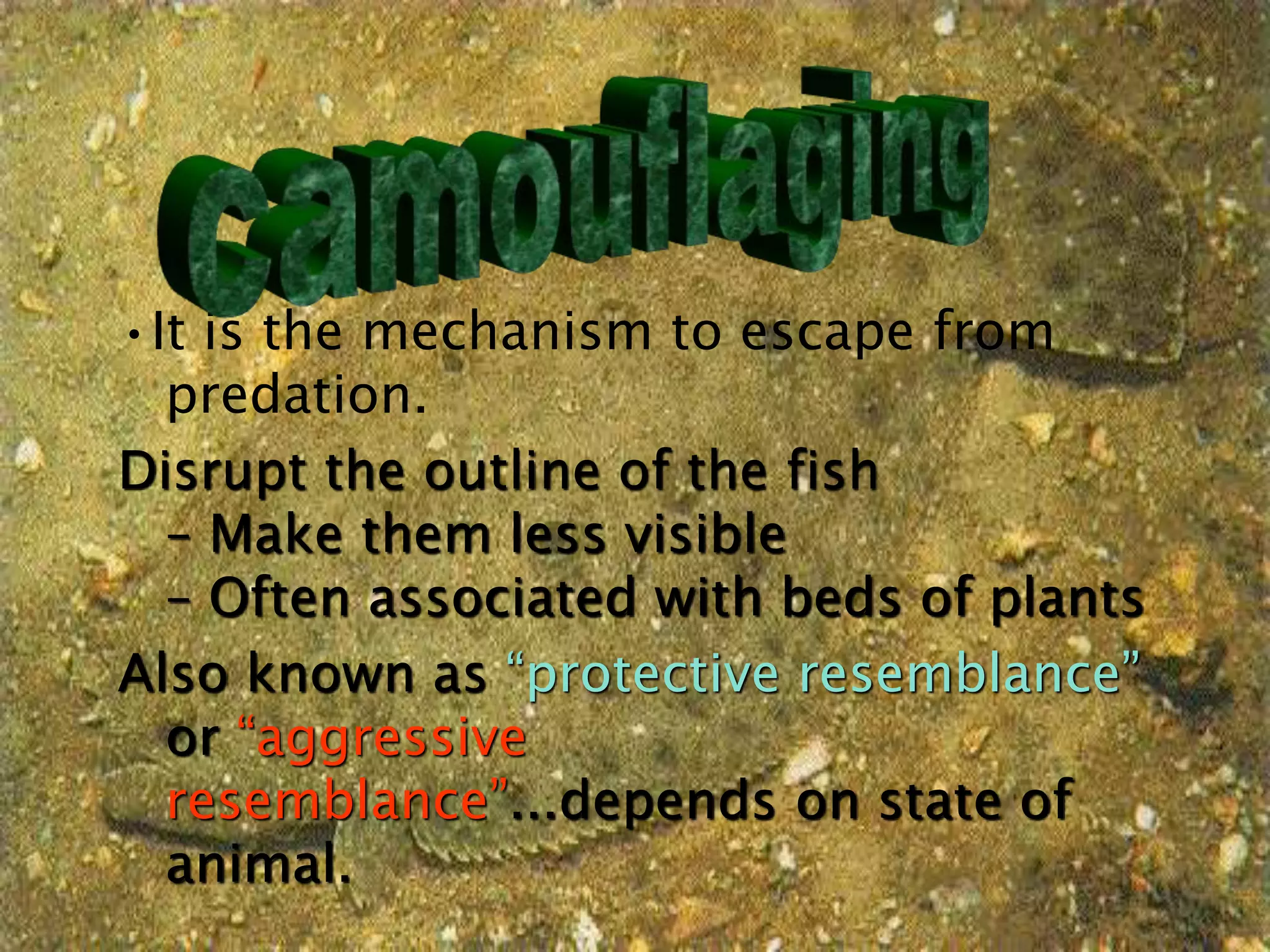 Behavioural ecology of fishes | PPTX