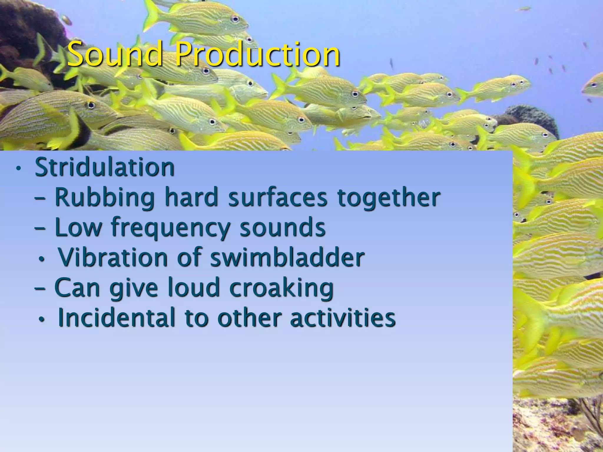 Behavioural ecology of fishes | PPTX