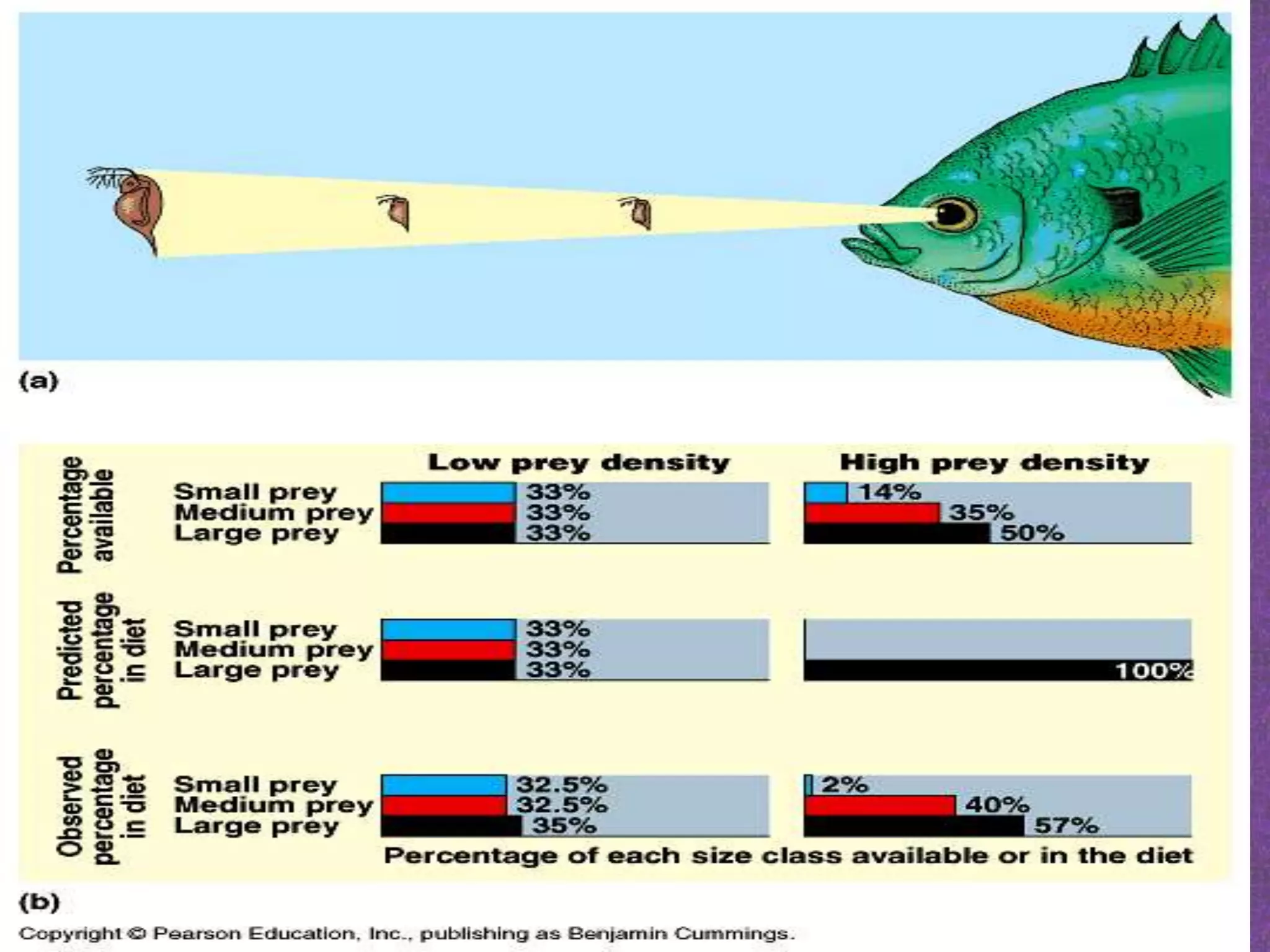 Behavioural ecology of fishes | PPTX