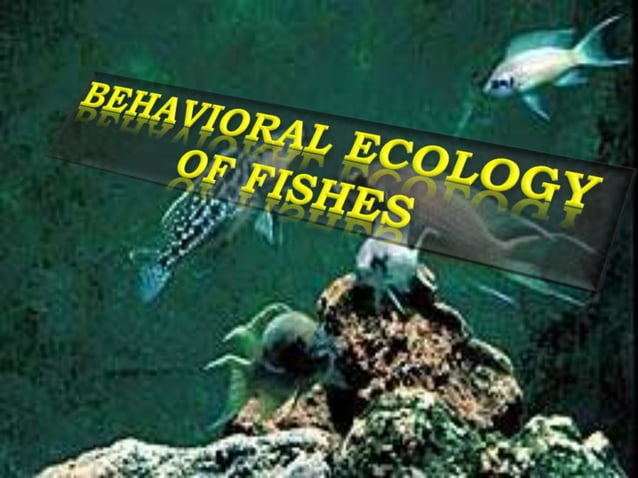 Behavioural ecology of fishes | PPTX | Biological Sciences | Science