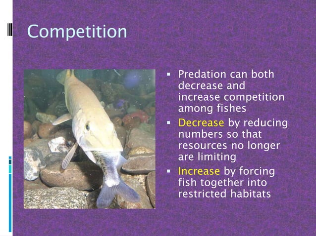 Behavioural ecology of fishes | PPTX | Biological Sciences | Science