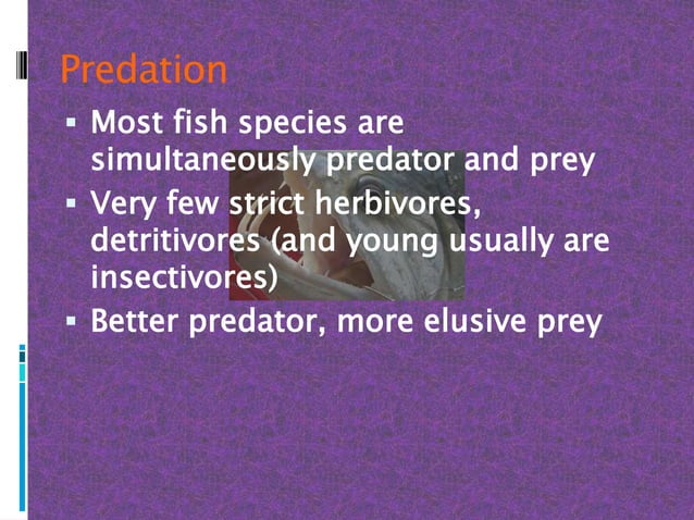 Behavioural ecology of fishes | PPTX | Biological Sciences | Science