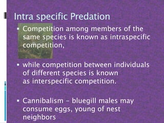 Intraspecific Competition Fish