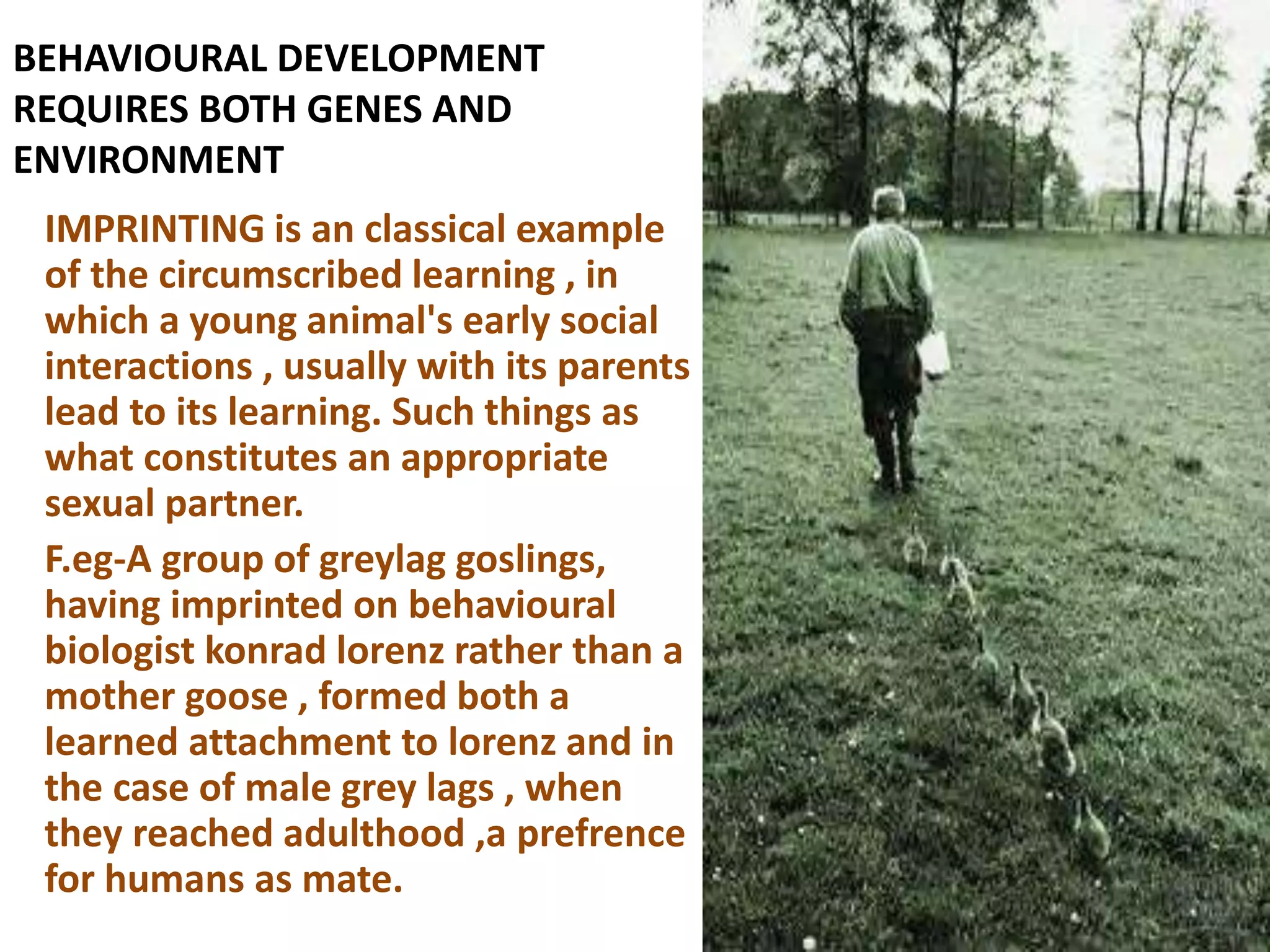 Behavioural genetics.pptx sid | PPTX