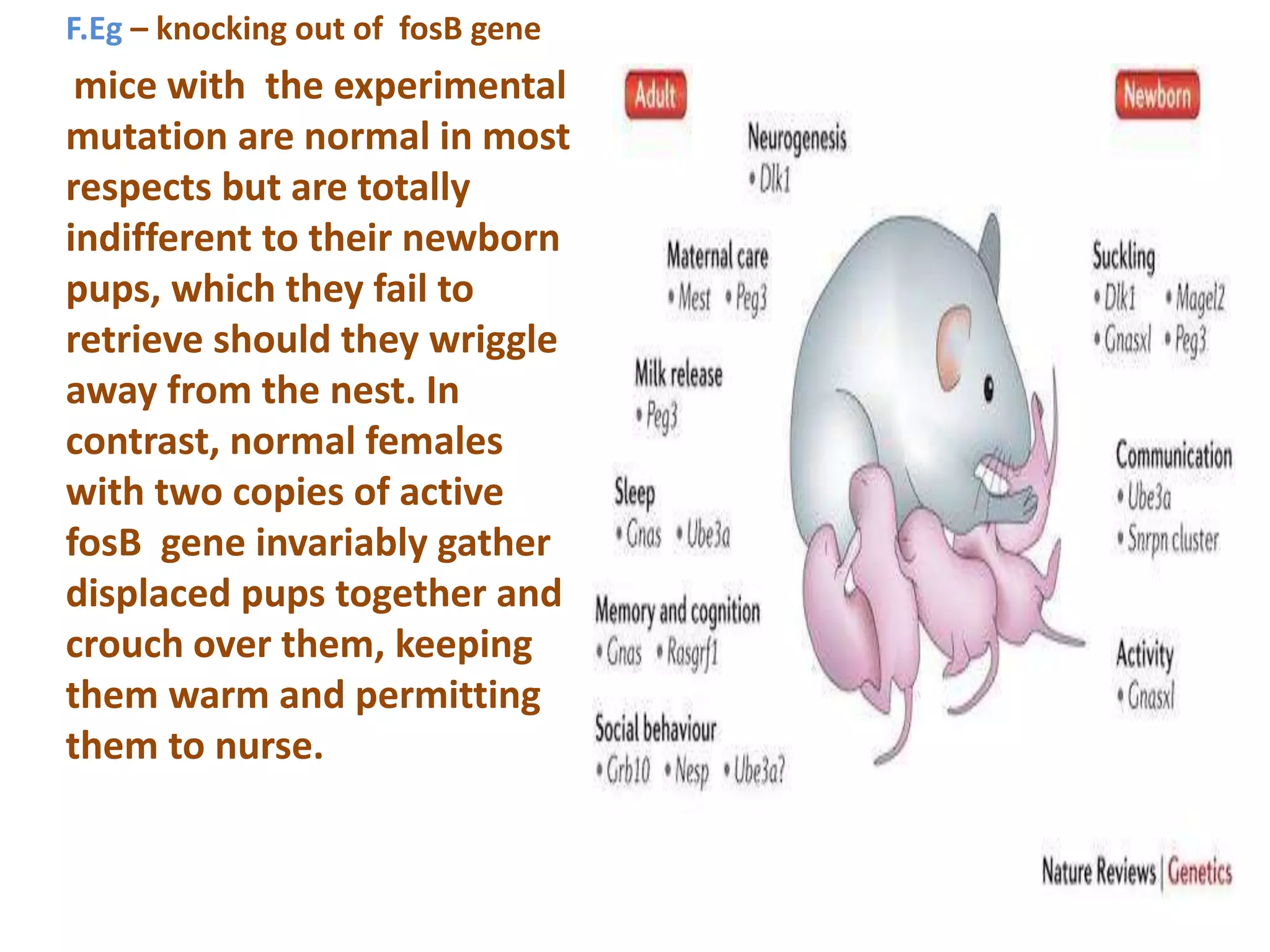 Behavioural genetics.pptx sid | PPTX