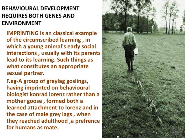 Behavioural genetics.pptx sid | PPTX