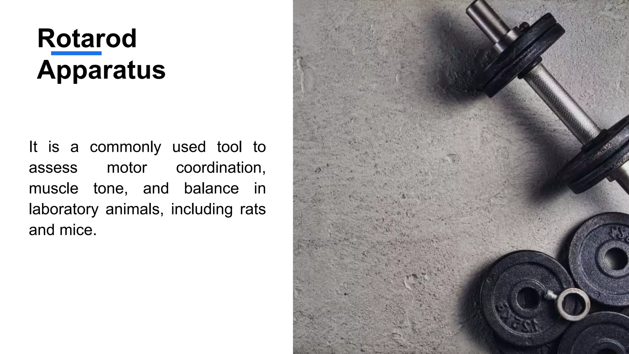 Behavioural Pharmacology assessment via Rotarod Apparatus.pptx