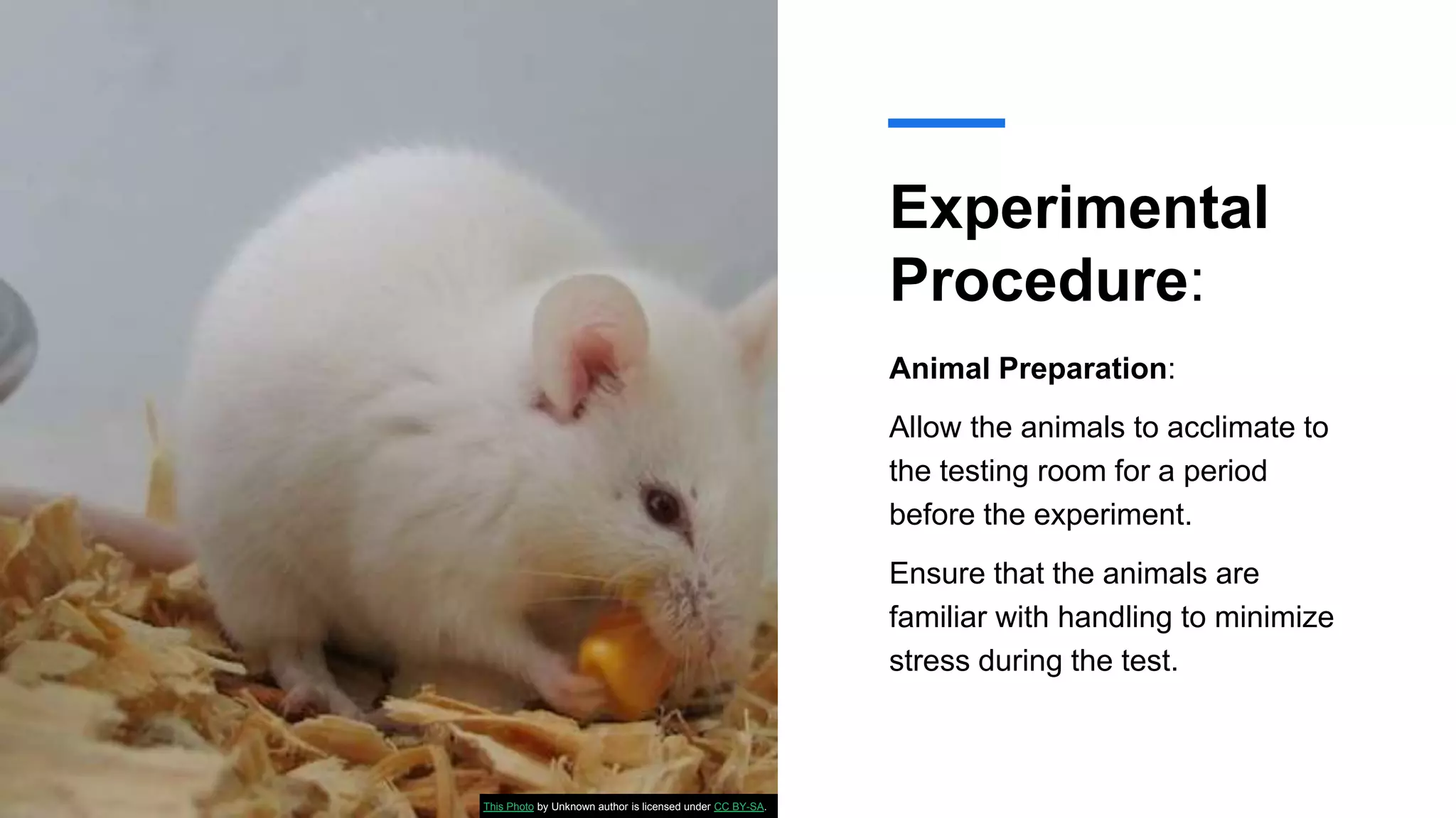Behavioural Pharmacology assessment via Rotarod Apparatus.pptx