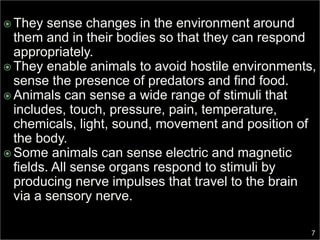 Behaviour and sense organs cattle | PPTX