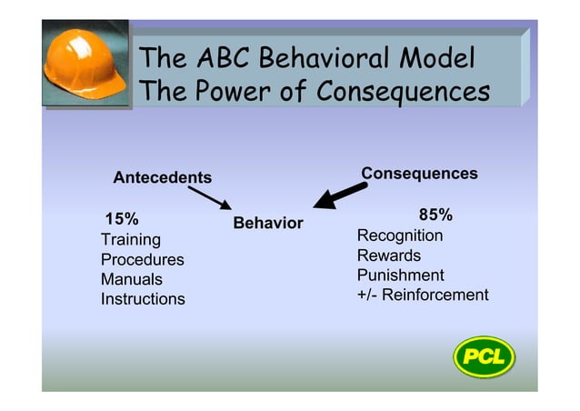 Behaviour based safety | PDF