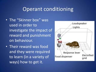 Behaviourist model of abnormality AS | PPTX