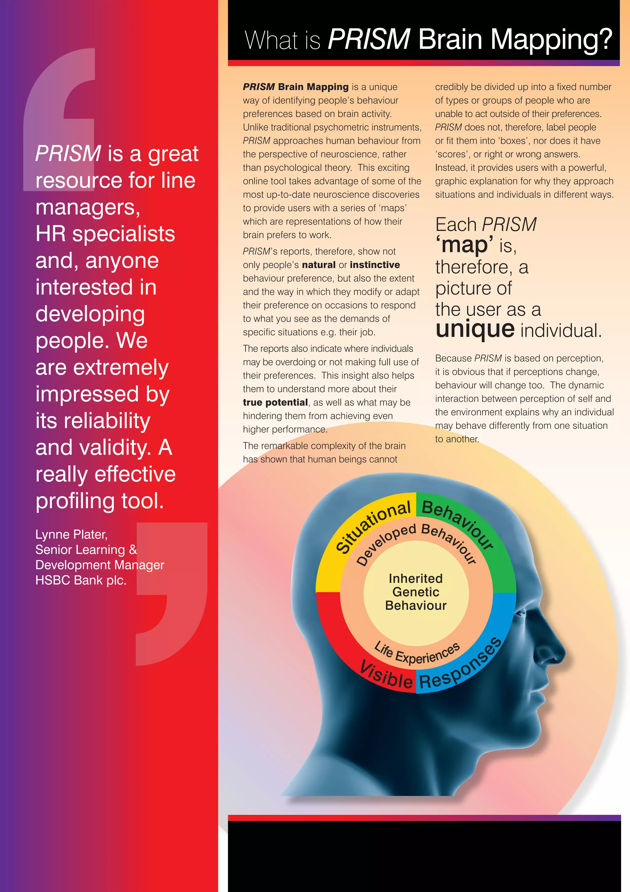 Prism Brain Mapping for Improved Performance | PDF