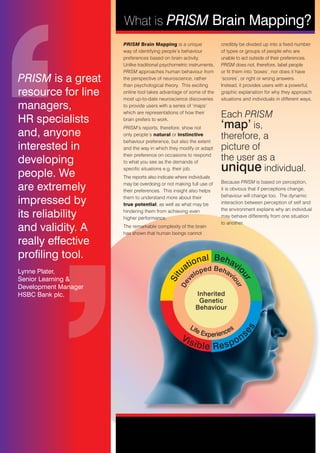 Prism Brain Mapping for Improved Performance | PDF
