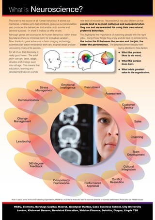Prism Brain Mapping for Improved Performance | PDF