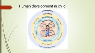Human Development(factors) ppt | PPTX