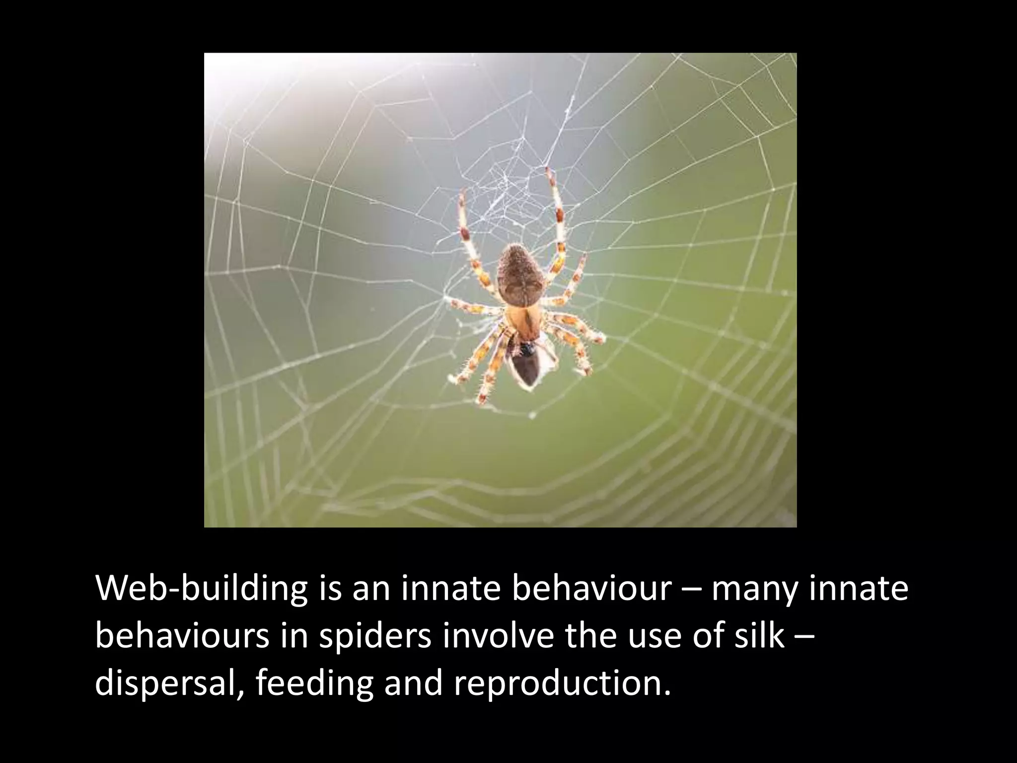 Behaviours for survival | PPTX