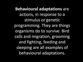 Behaviours for survival | PPTX