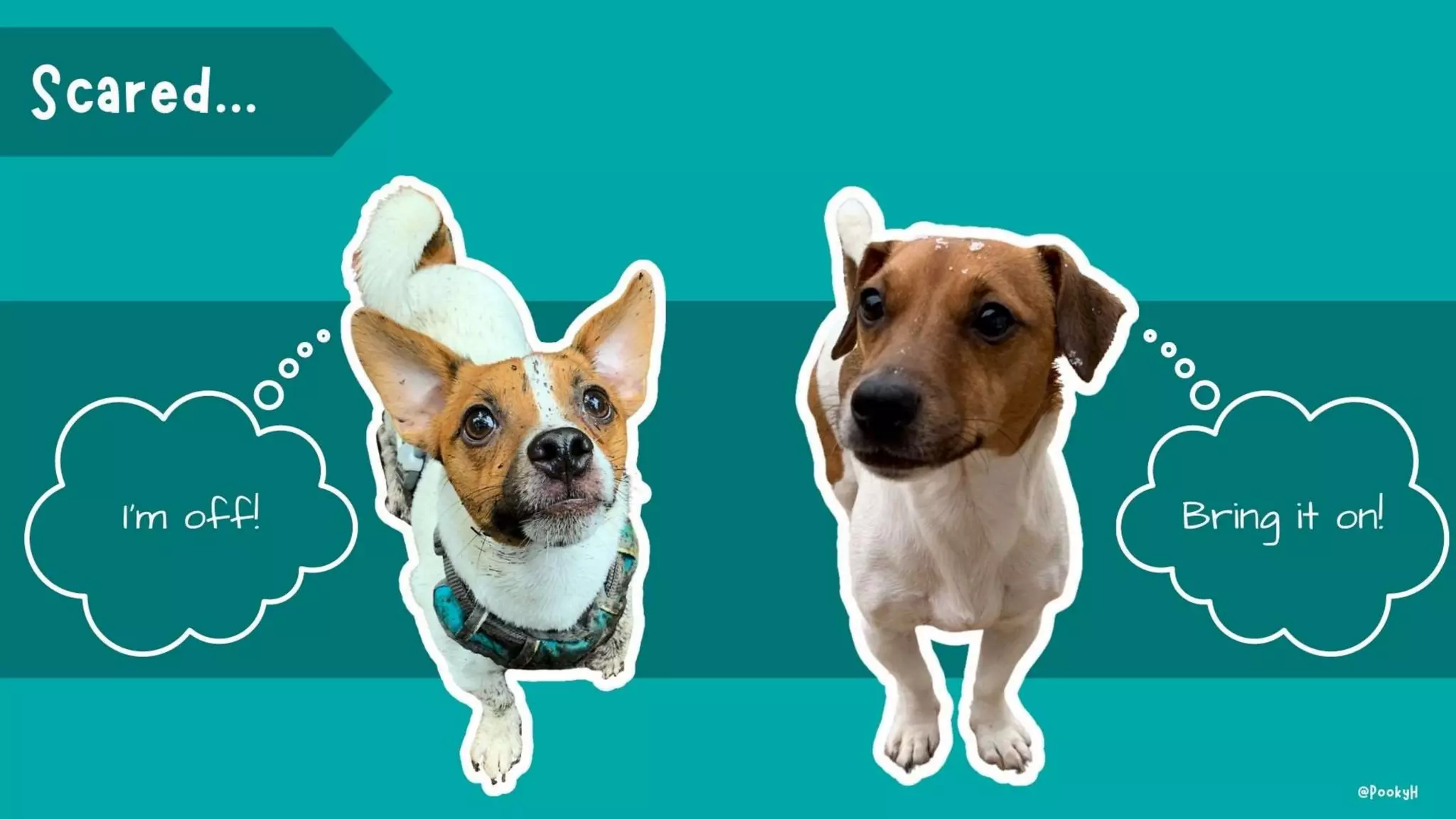 Behaviour That Challenges | PPTX