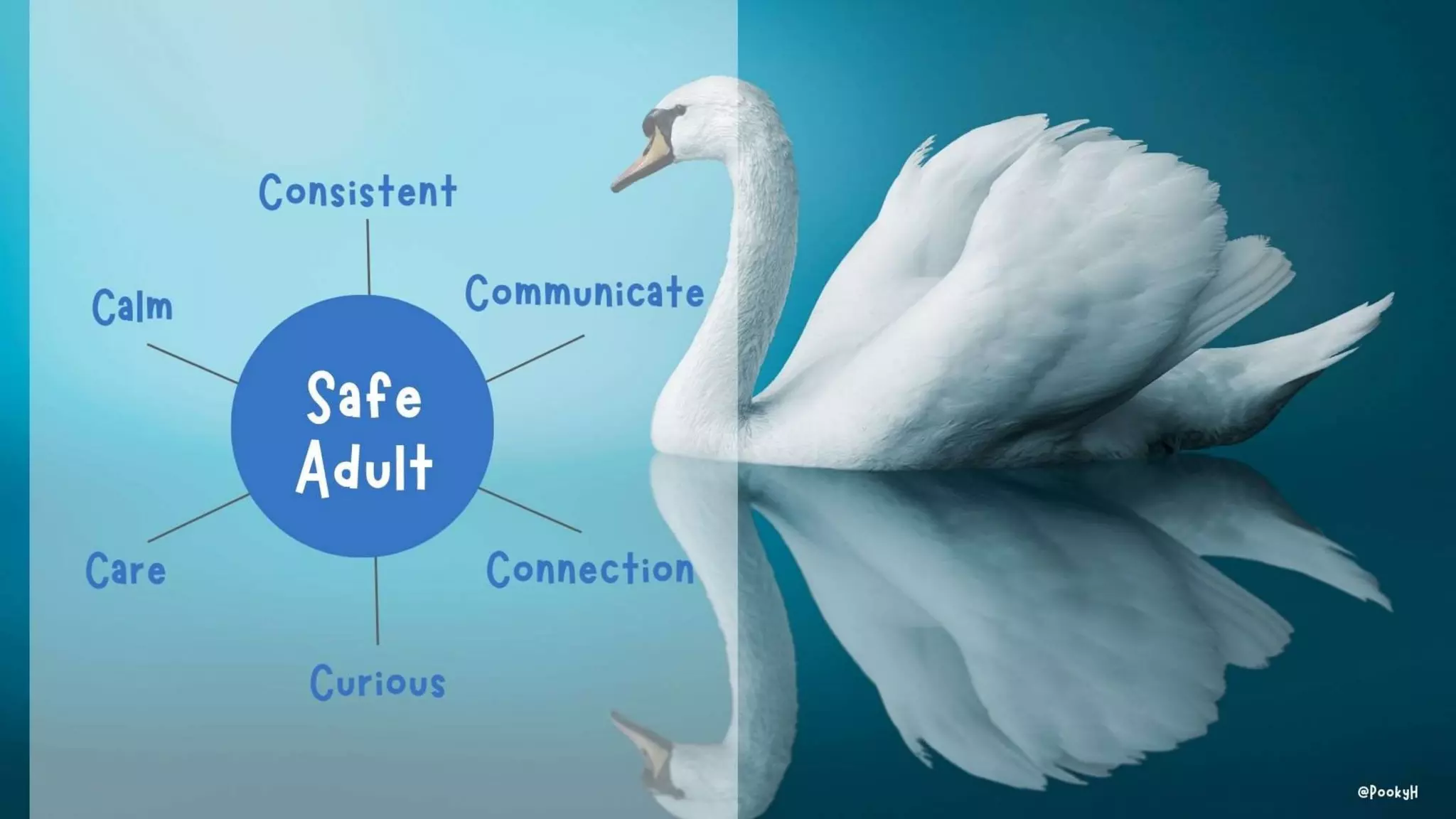 Behaviour That Challenges | PPTX