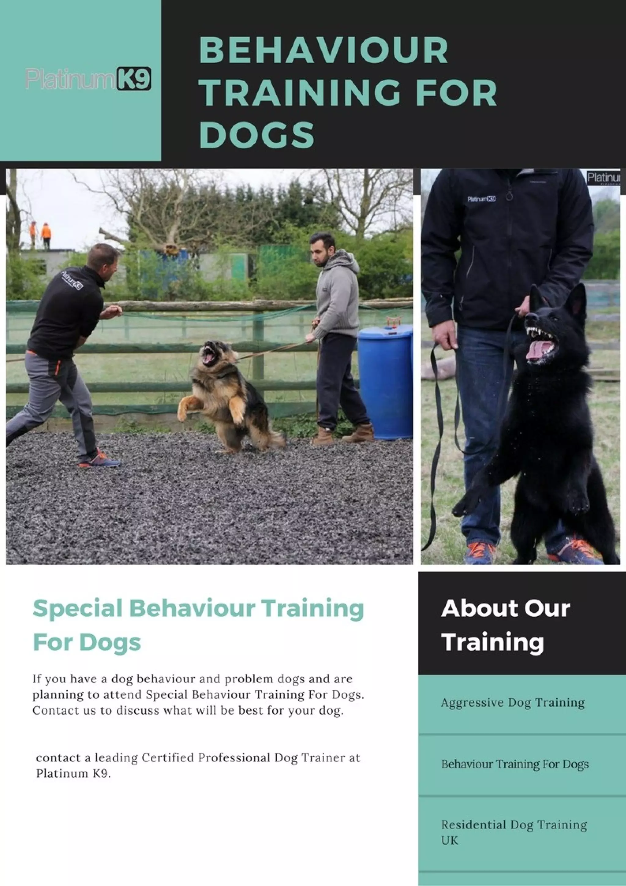 Behaviour training for dogs | DOC