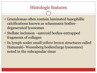 Behcet _s_syndrome_reiter___s_syndrome_and_sarcoidosis | PPTX