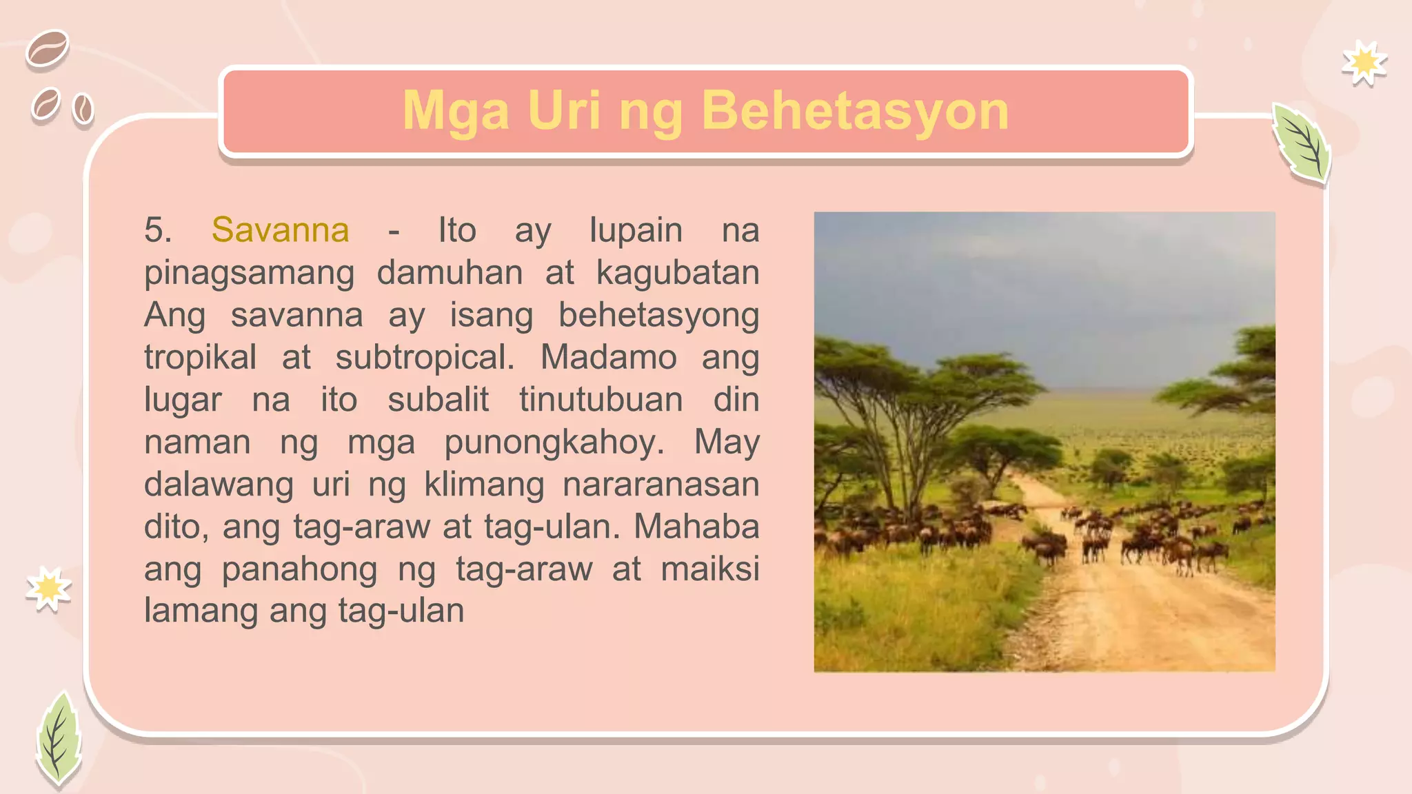 BEHETASYON SA DAIGDIG.pptx