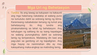 BEHETASYON SA DAIGDIG.pptx