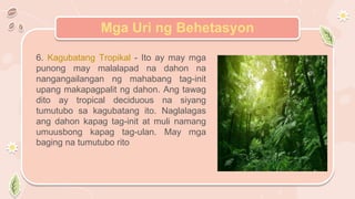 BEHETASYON SA DAIGDIG.pptx