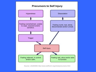 Day 2 | CME- Trauma Symposium | Beh health issues to self inflicted ...