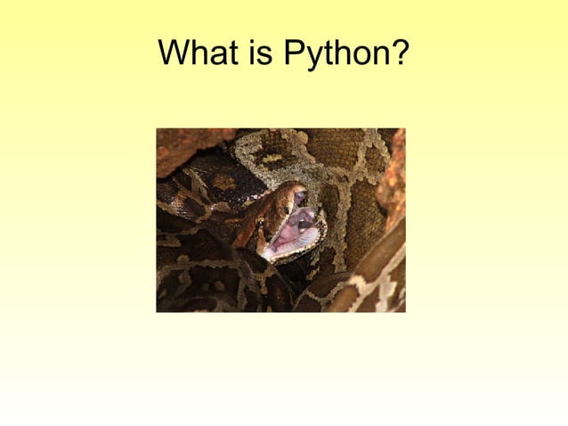 Behold the Power of Python | PPT