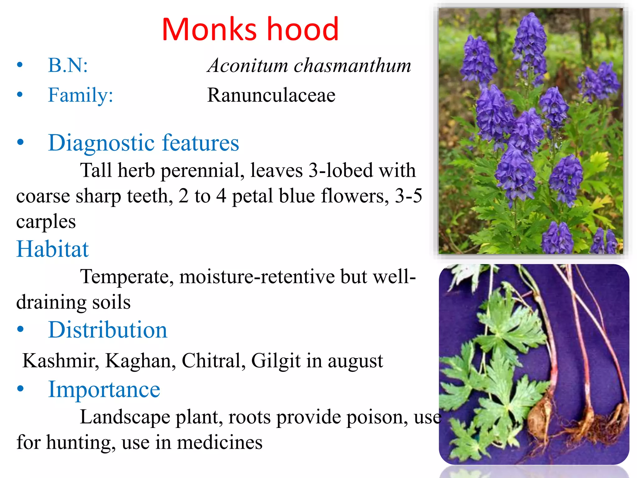 Native Plants of Pakistan | PPTX