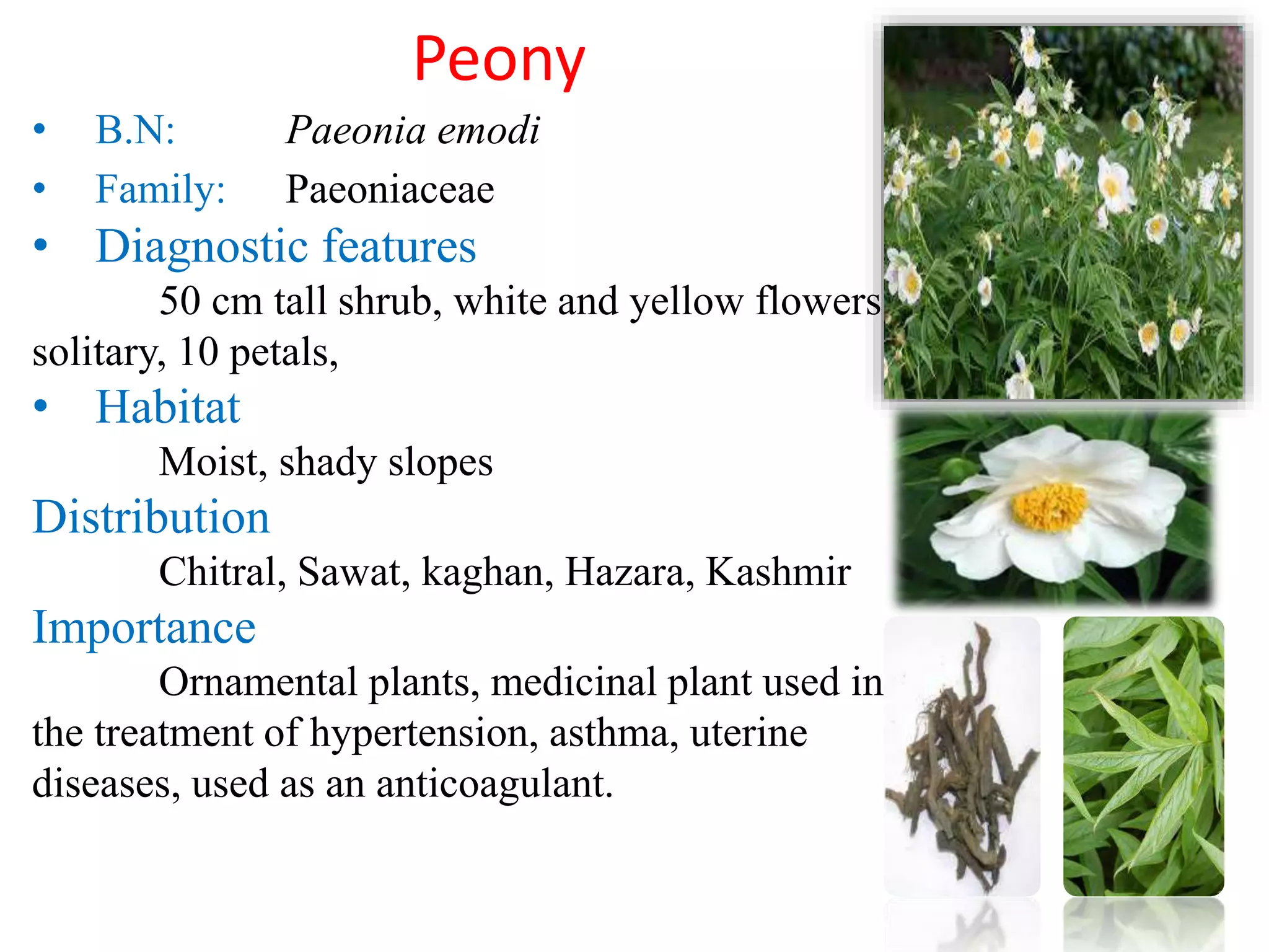 Native Plants of Pakistan | PPTX