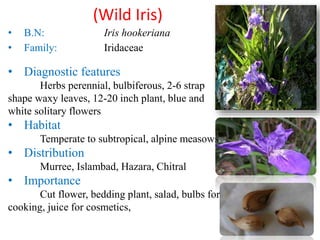 Native Plants of Pakistan | PPTX