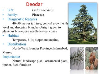 Native Plants of Pakistan | PPTX