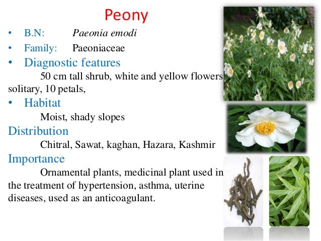 Native Trees and Plants of Pakistan | Pakistan Defence