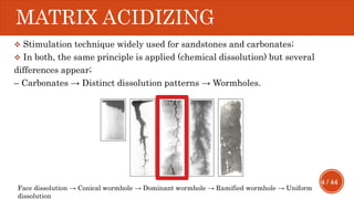 Developed Model for Carbonate Matrix Acidizing | PDF