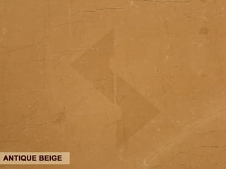 Beige | PPT