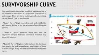 Population dynamics of India and kerala | PDF