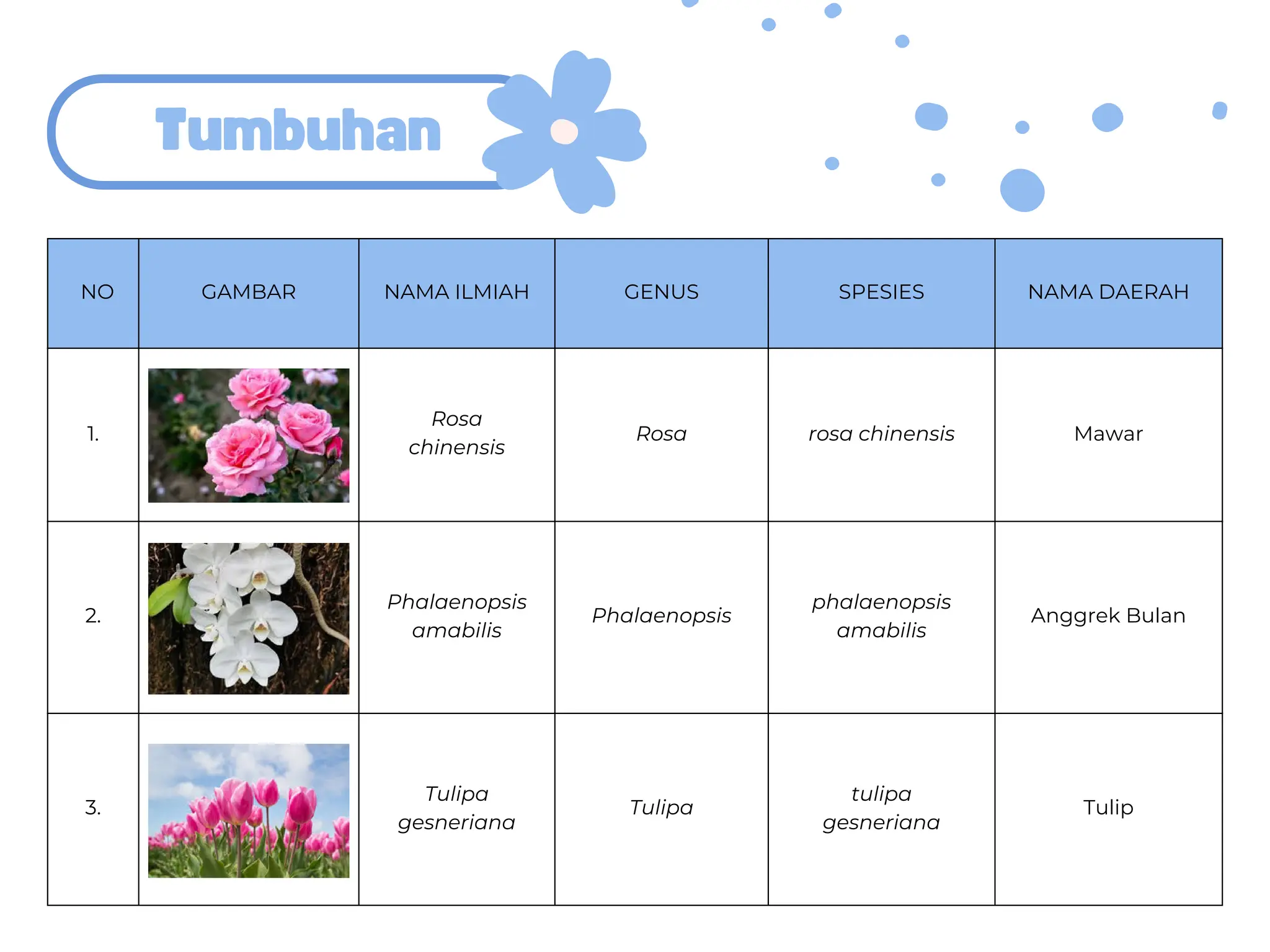 Flora fauna indonesia kelas 10. Nama flora dan fauna | PDF