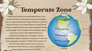 Beige Brown Vintage Group Project Presentation.pdf | Free Download