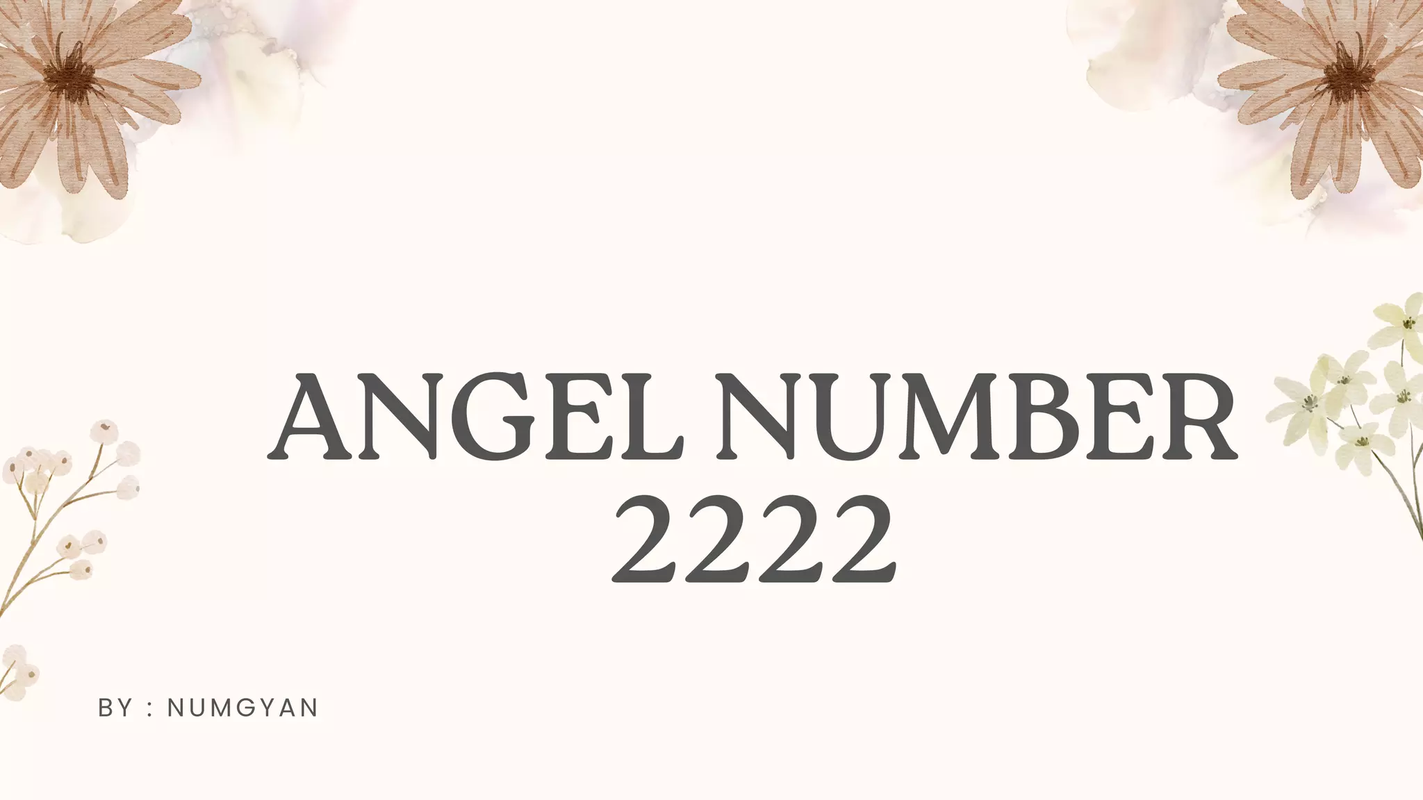 Angel Number 2222 | PDF