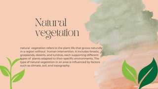 Natural vegetation and benefits of vegetation | PPT