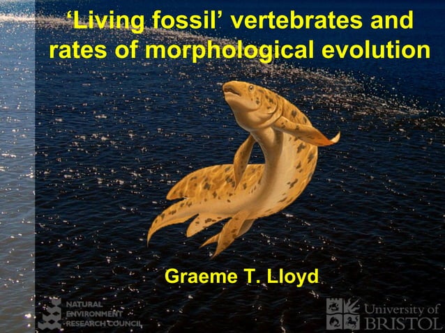 'Living fossil' vertebrates and rates of morphological evolution | PPT