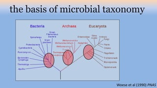 Rob Beiko - #SMBE12 presentation | PPTX | Biological Sciences | Science