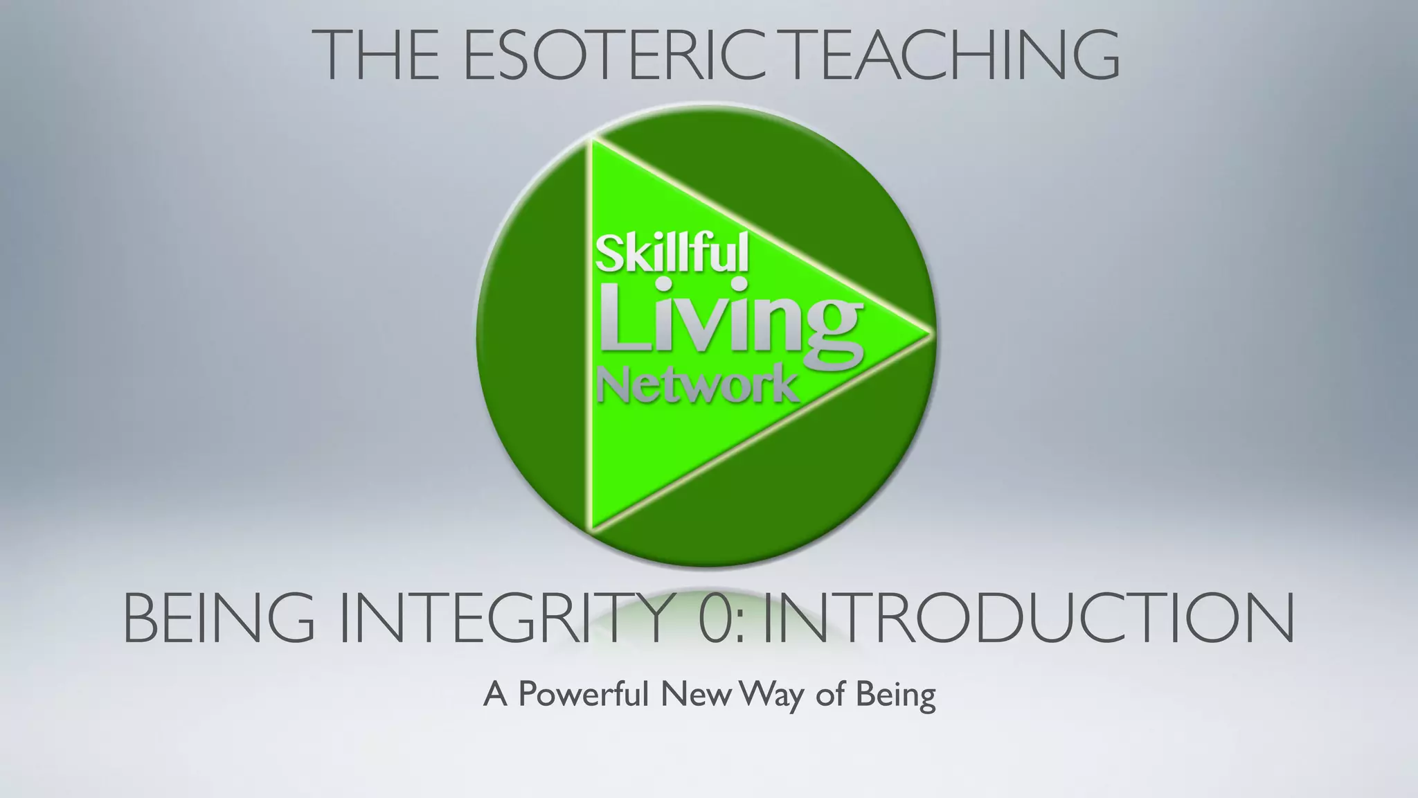 Being Integrity 0: Introduction | PDF