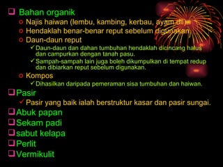 Bekas menanam dan medium | PPT