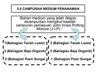 Bekas tanaman dan medium penanaman | PPT